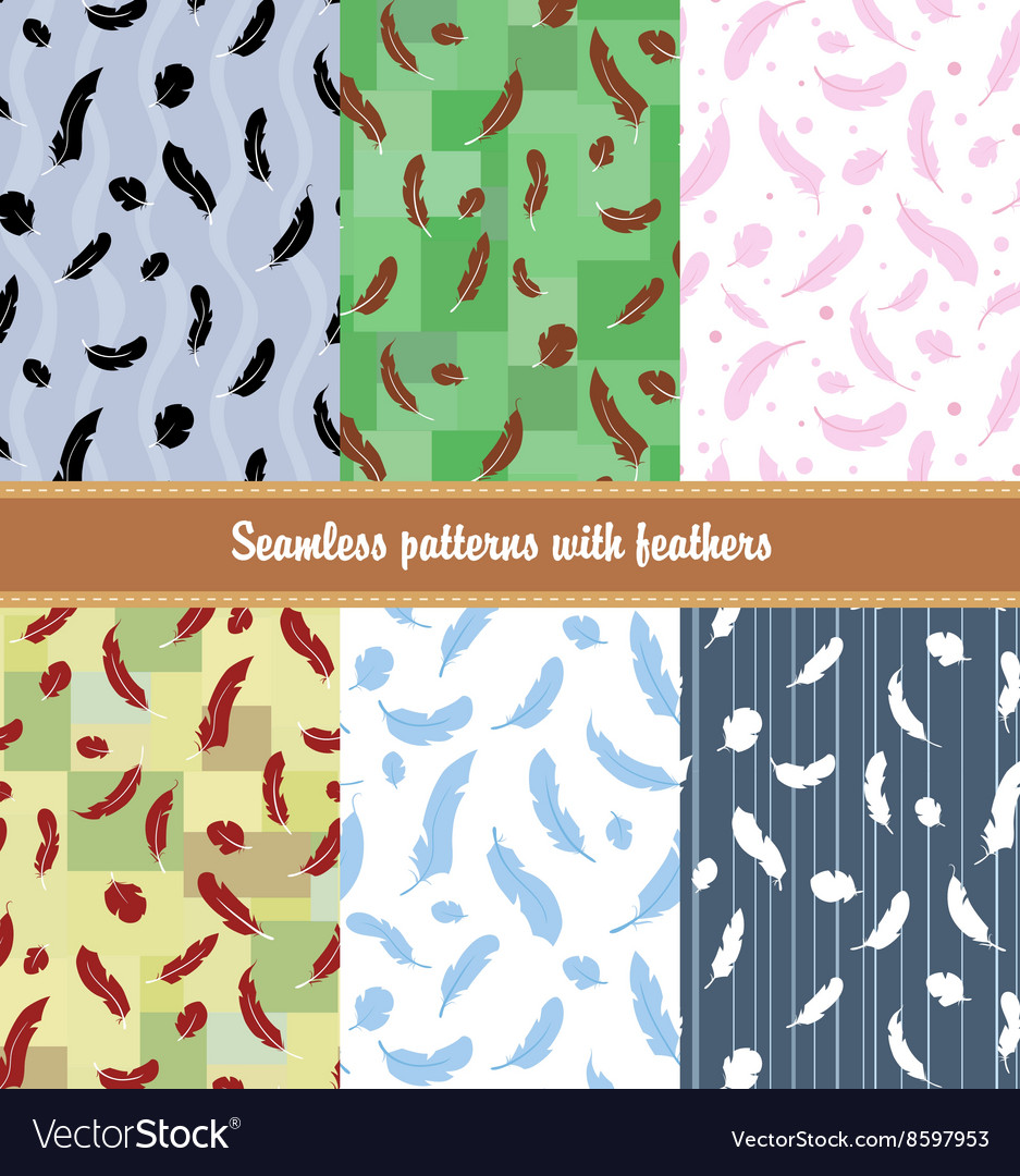 Feathers patterns set Royalty Free Vector Image