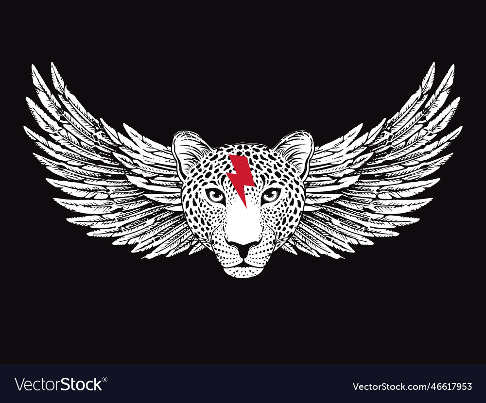 Leopard face Royalty Free Vector Image - VectorStock