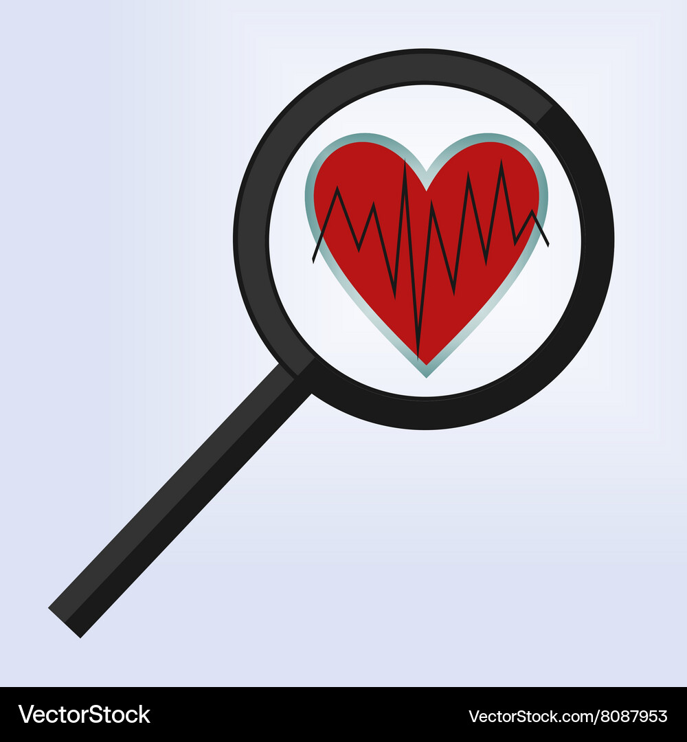 Magnifying glass is positioned on a heart Vector Image