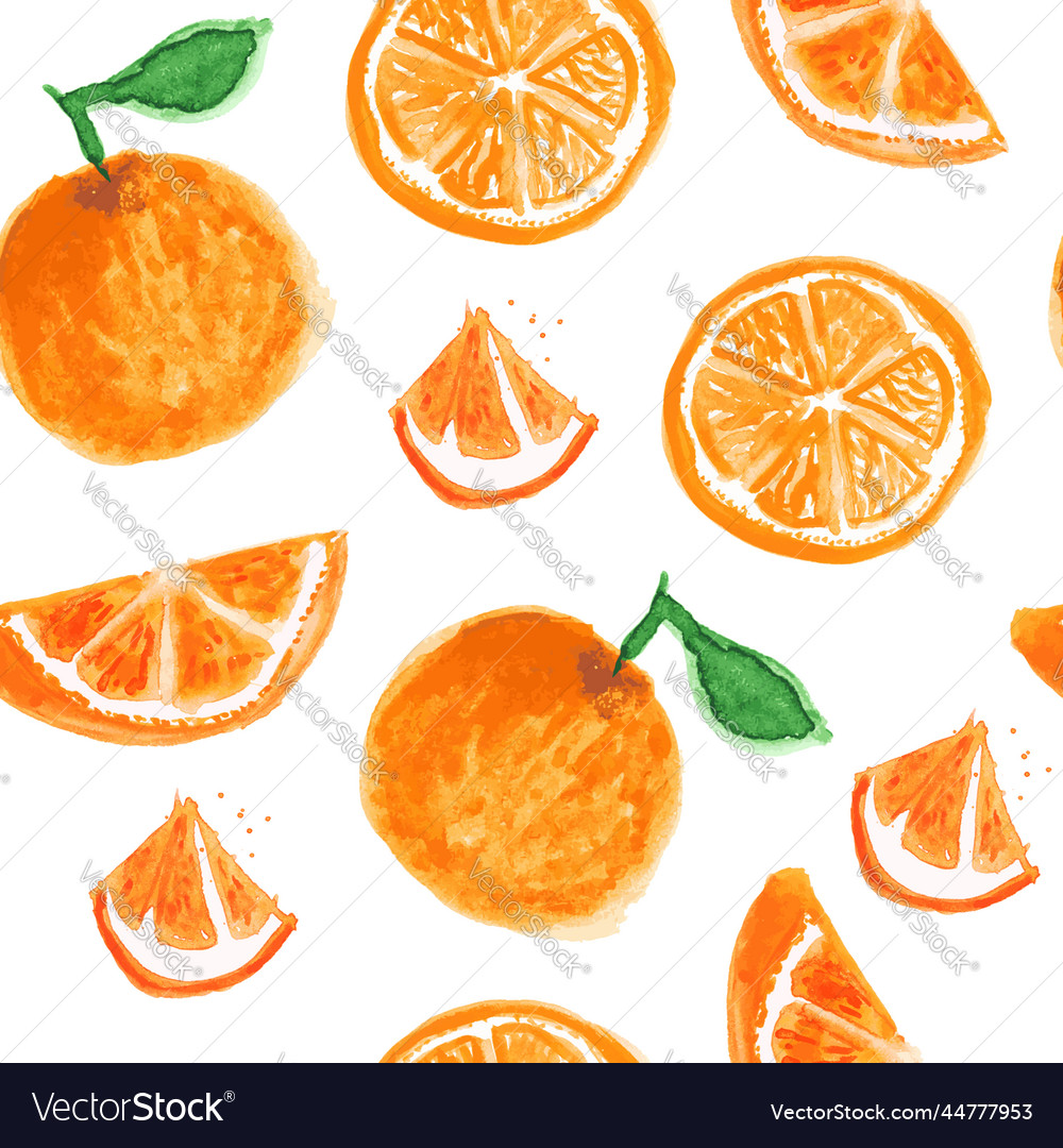 Orange fruit hand paint watercolor Royalty Free Vector Image