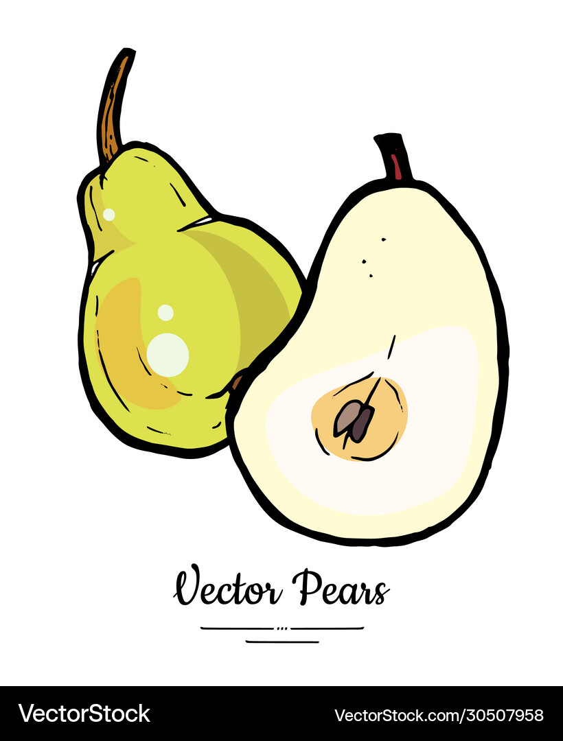 Pears fruits isolate green pear whole Royalty Free Vector