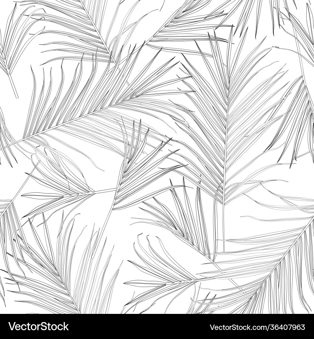 Black white palm tree leaves line art background Vector Image