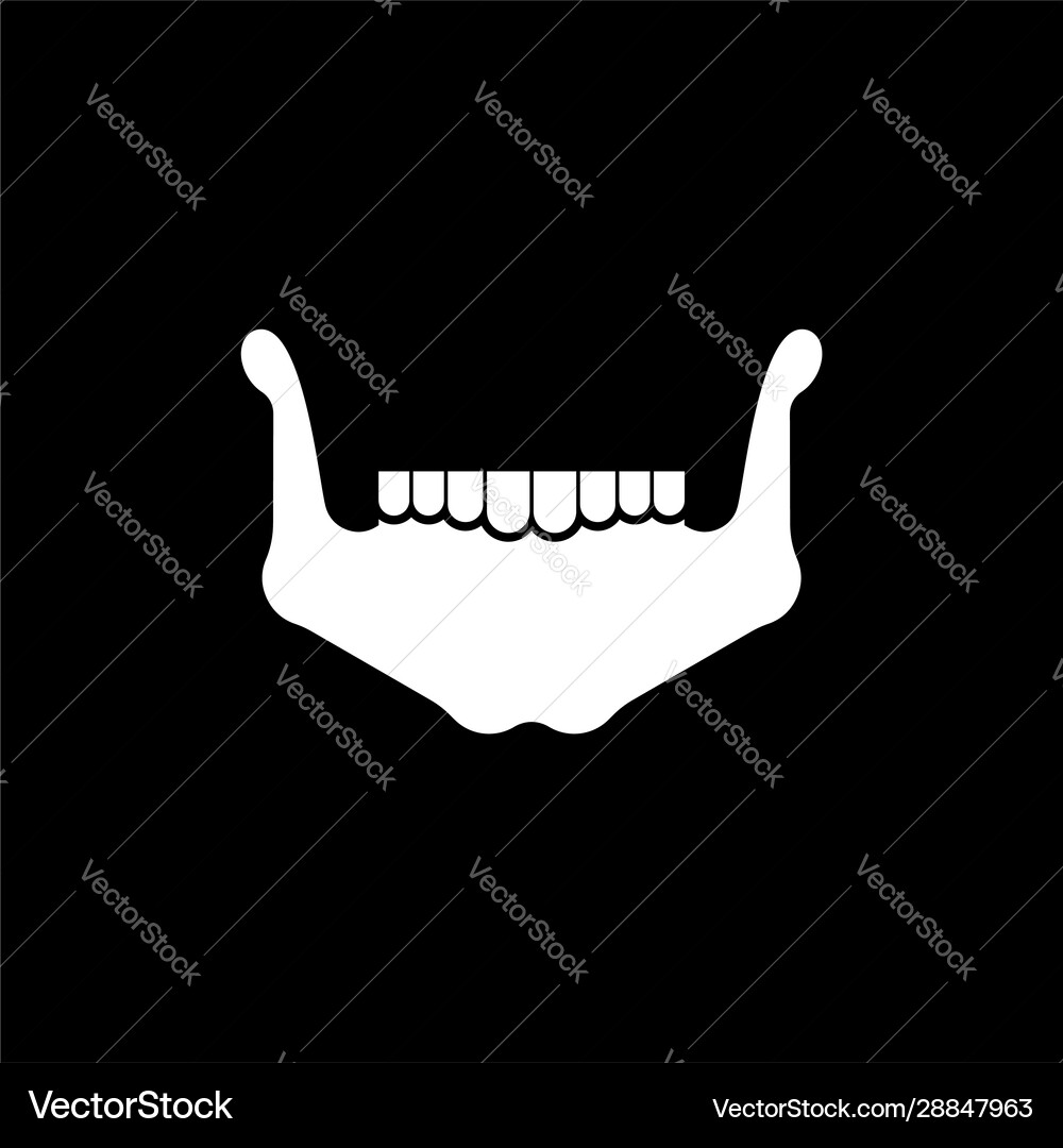 Mandible lower jaw bone skeleton anatomy human Vector Image