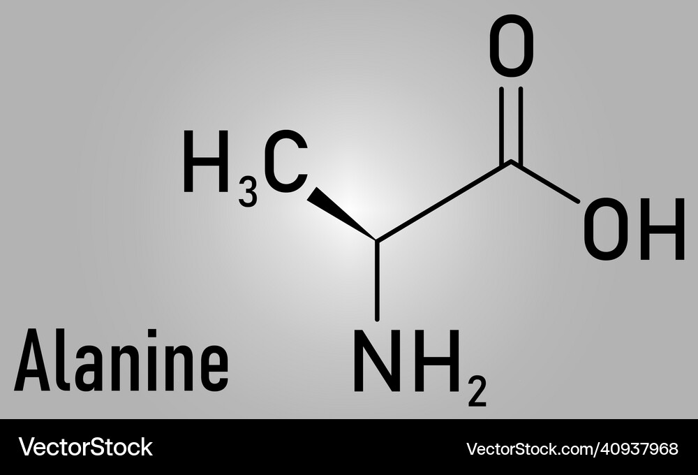 Alanine or l-alanine ala a amino acid molecule Vector Image