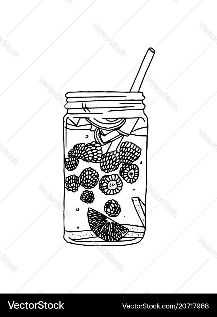 Hand drawn summer ice drink with citrus Royalty Free Vector