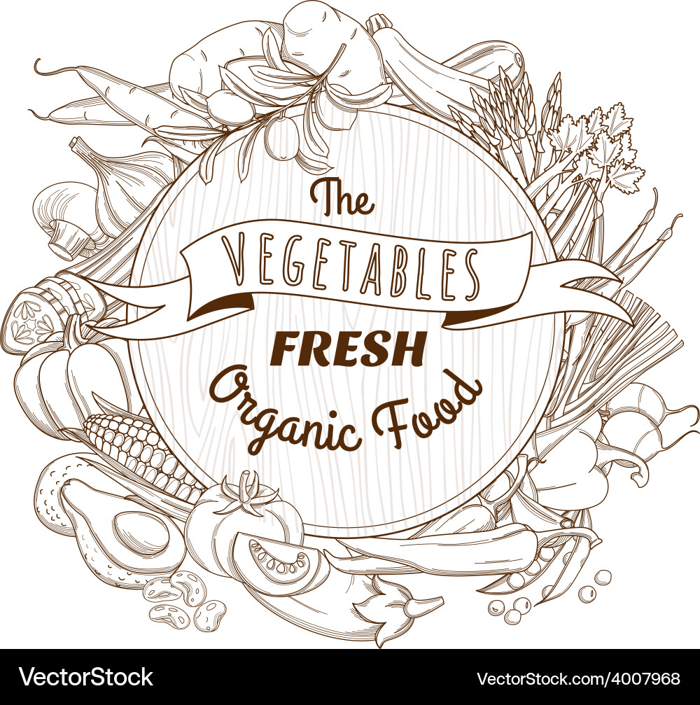 Outline hand drawn sketch vegetable wooden frame Vector Image