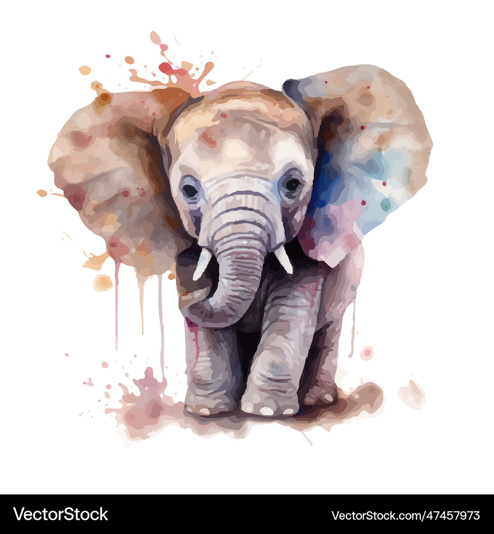 Elephant hand painted watercolor isolated Vector Image