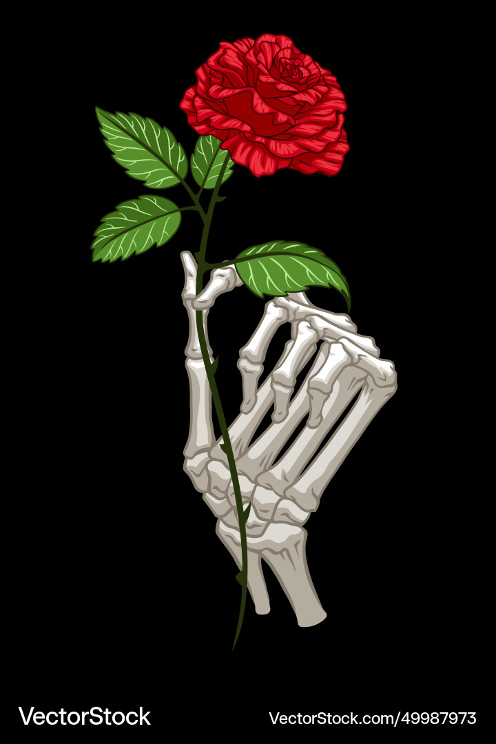 Skeleton hand holding a red rose in black Vector Image