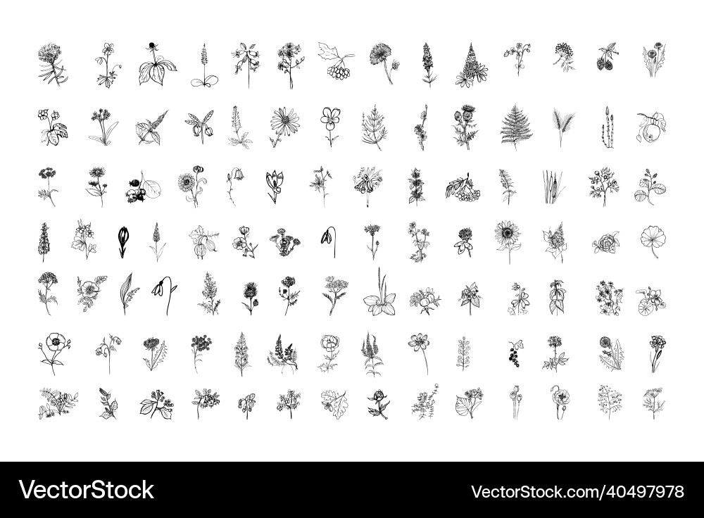 Plant in art ink style Royalty Free Vector Image