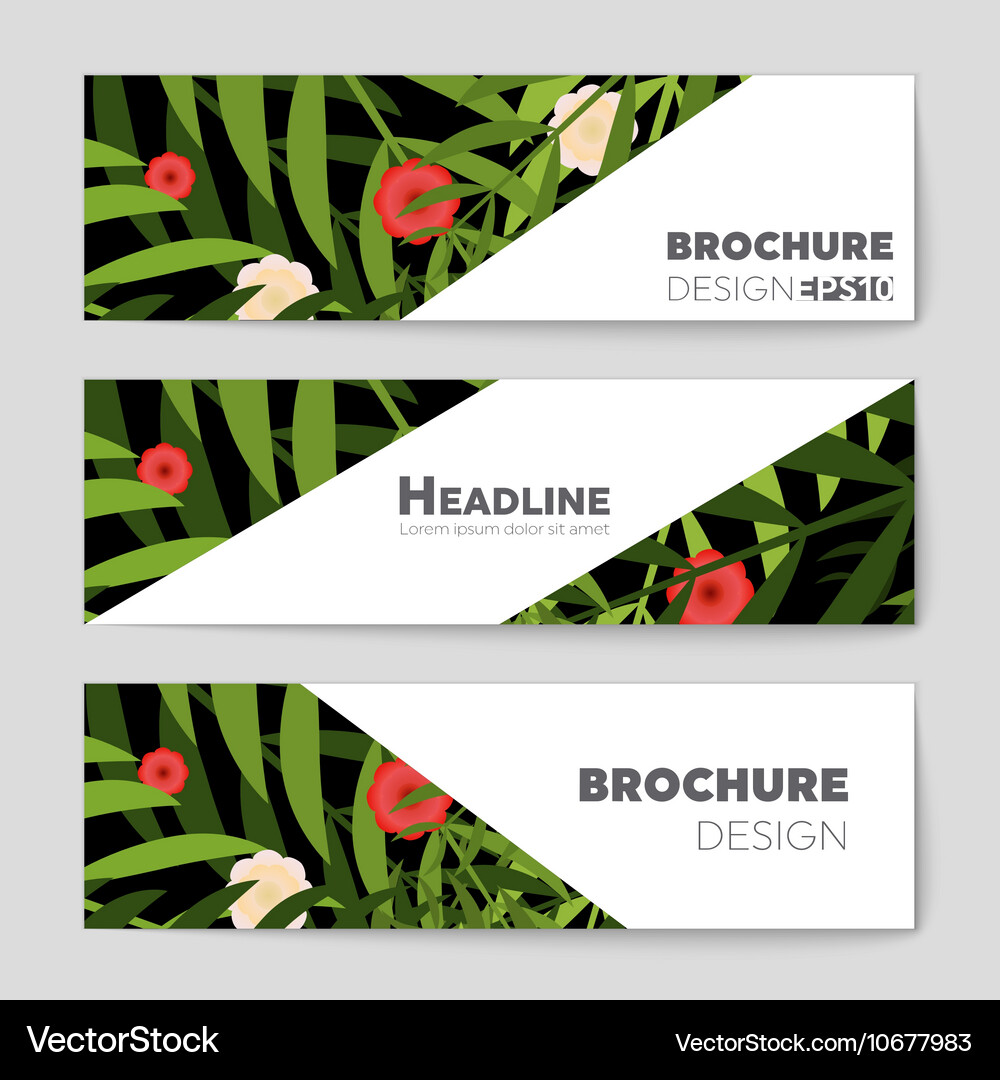 Abstract layout background for web Royalty Free Vector Image