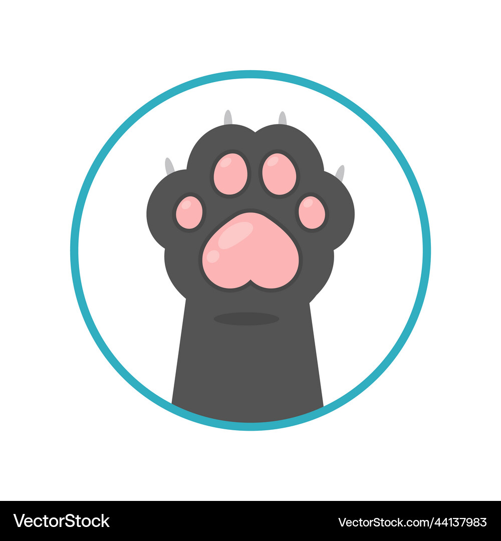 Cat paw set different species cute kitten hand Vector Image