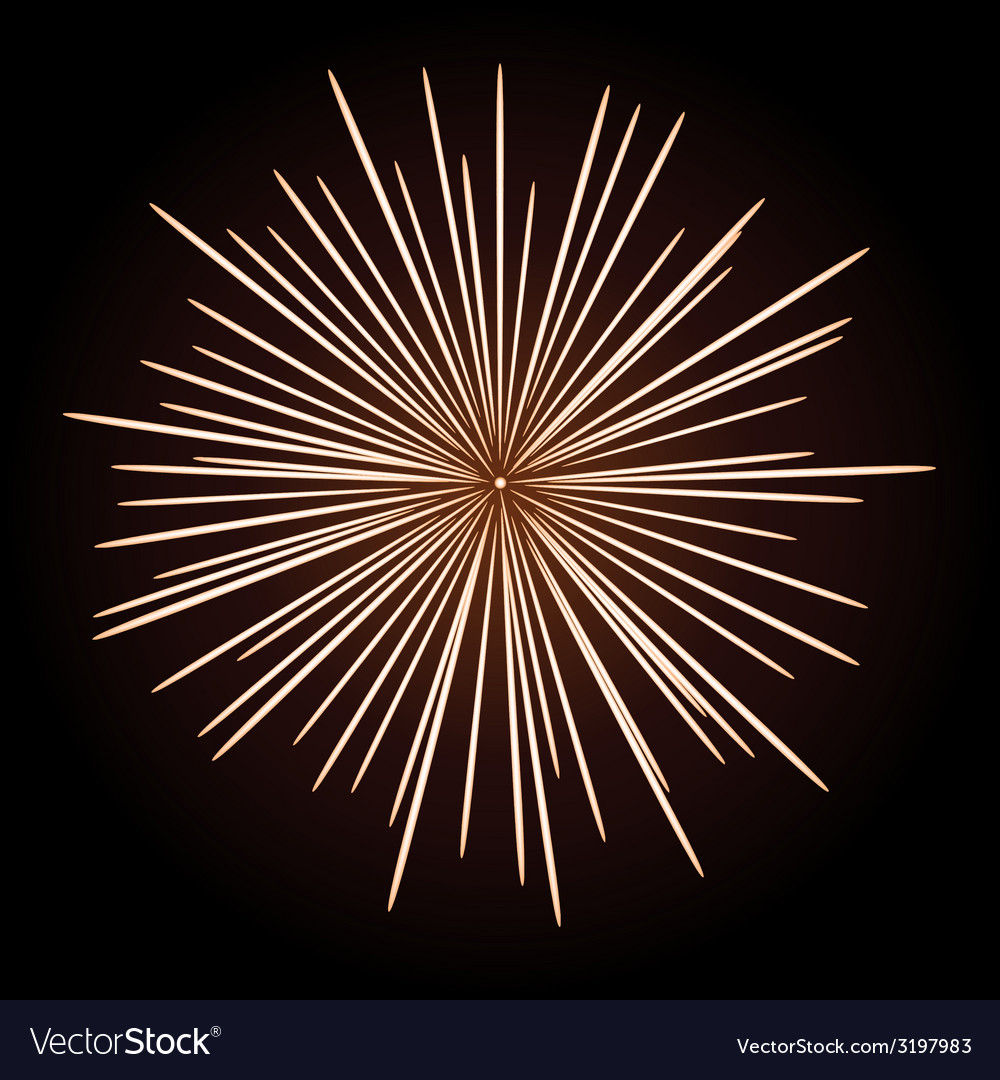 Firework Royalty Free Vector Image - VectorStock
