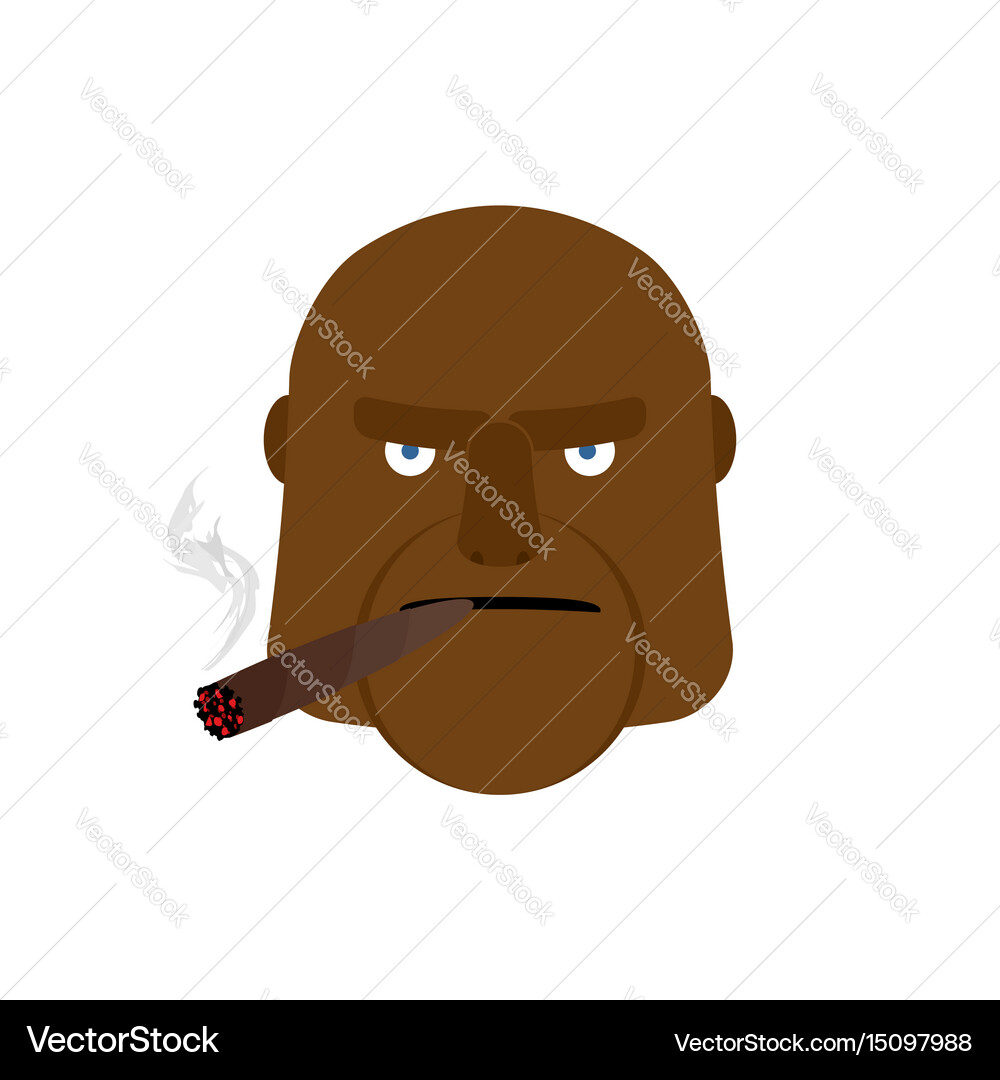 Angry man with cigar aggressive african face Vector Image