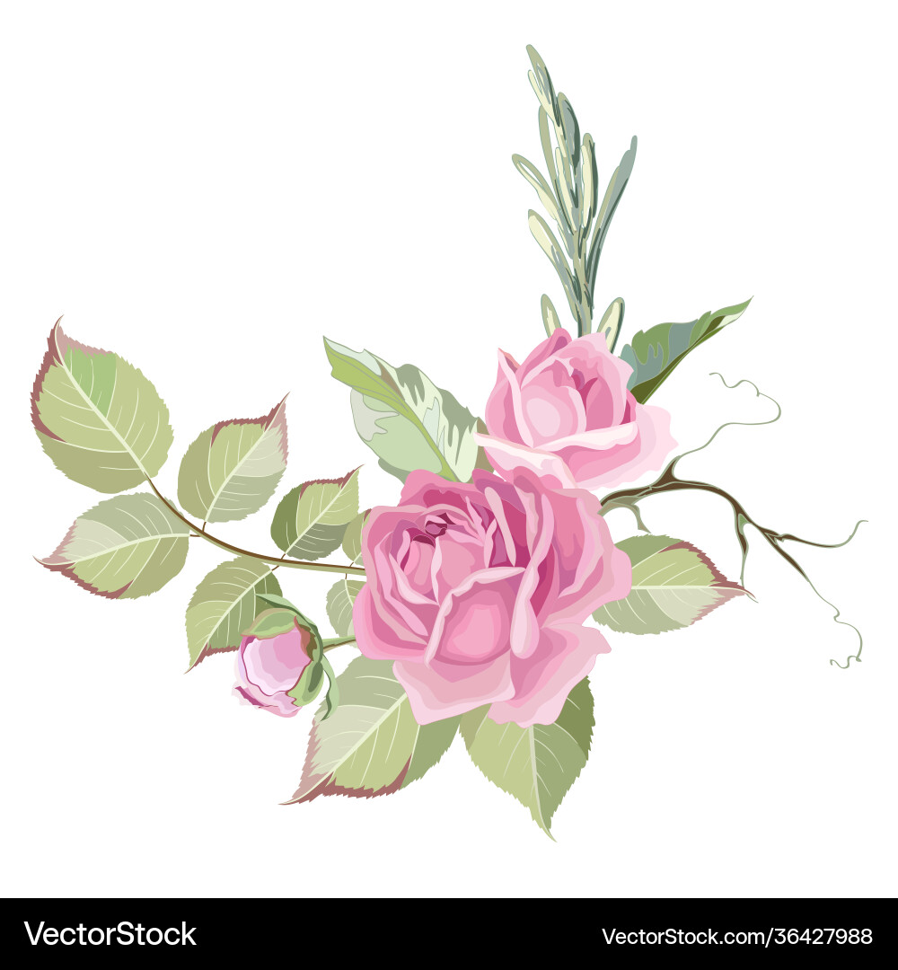 Bouquet with pink flowers Royalty Free Vector Image