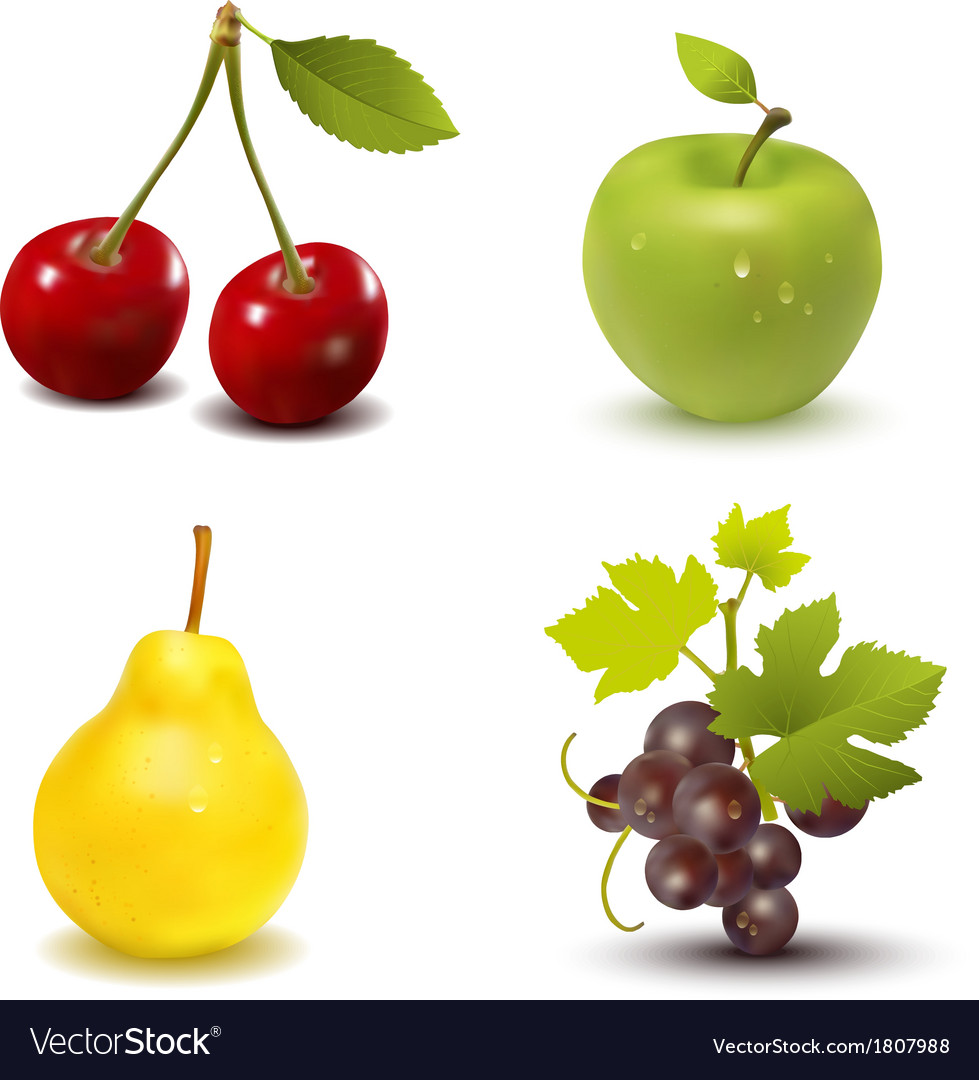 Fruit Royalty Free Vector Image - VectorStock
