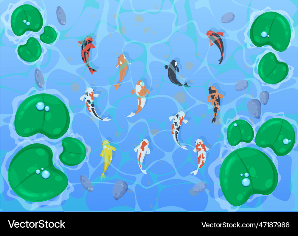 Spotted fish swimming in pond top view Royalty Free Vector