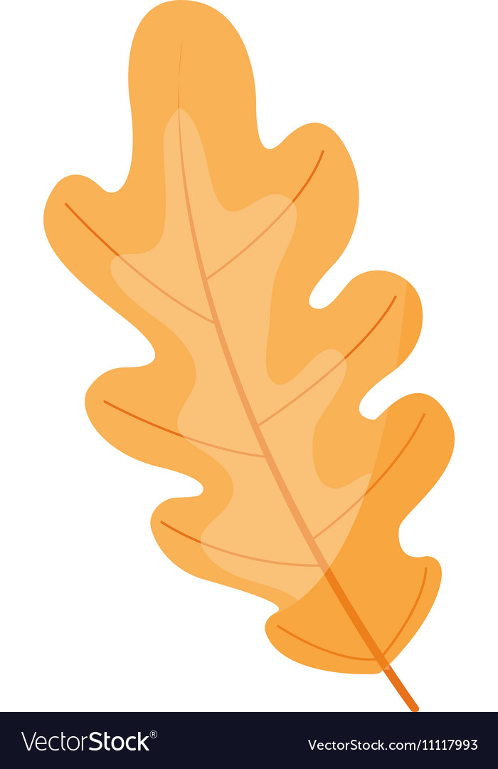 Autumn leaf Royalty Free Vector Image - VectorStock