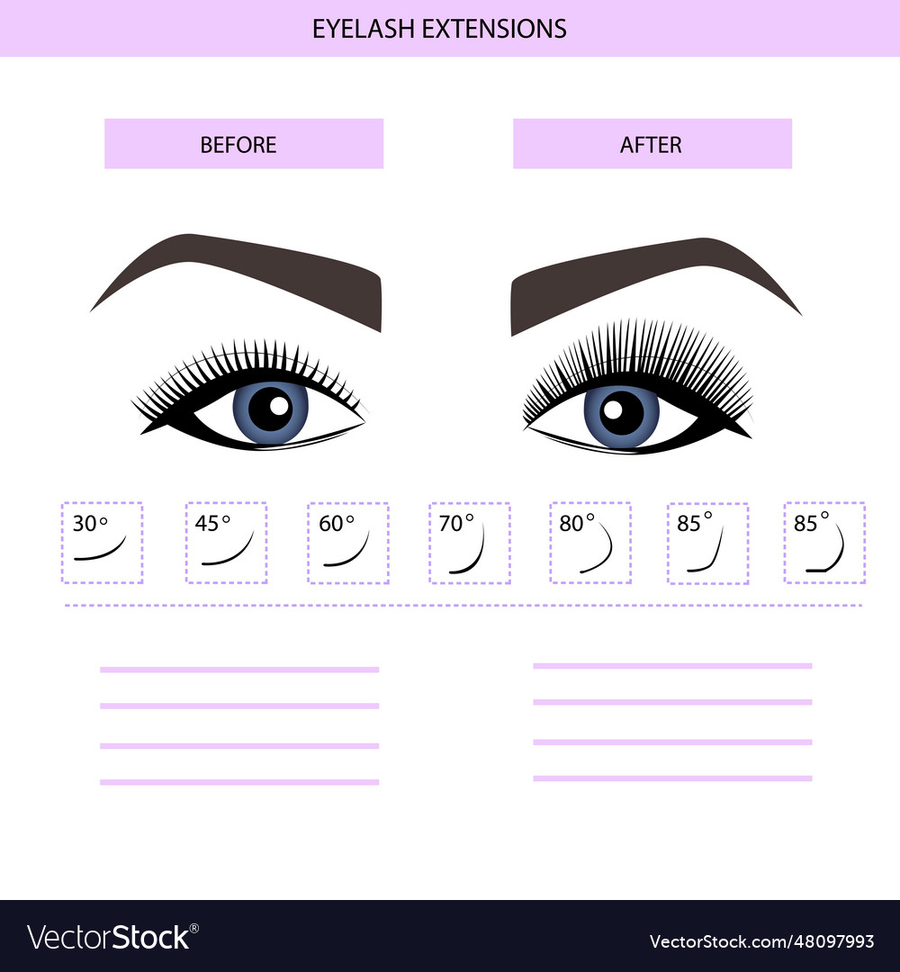 Eyelash extension infographics step by step guide Vector Image Eyelash extension infographics step by step guide Vector Image