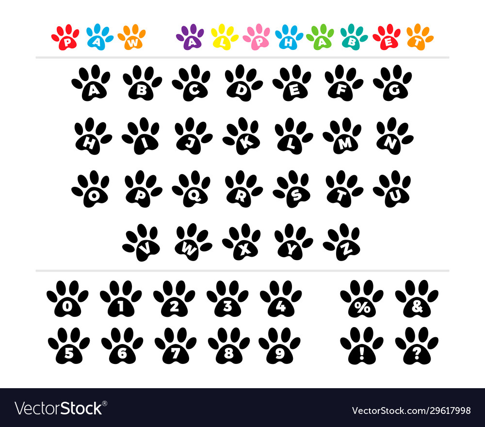 Font typography with animal paw prints alphabet Vector Image
