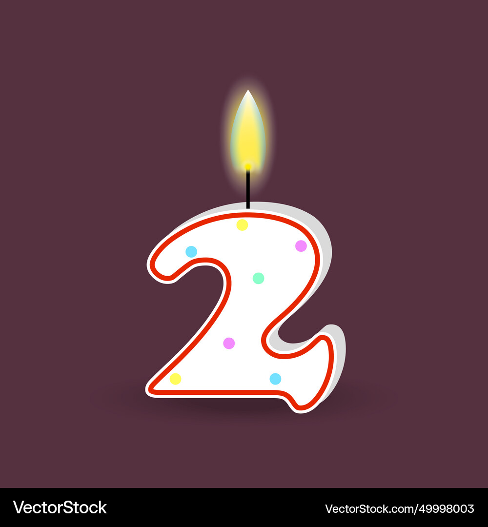 Birthday number two candle with fire 3d number 2 Vector Image
