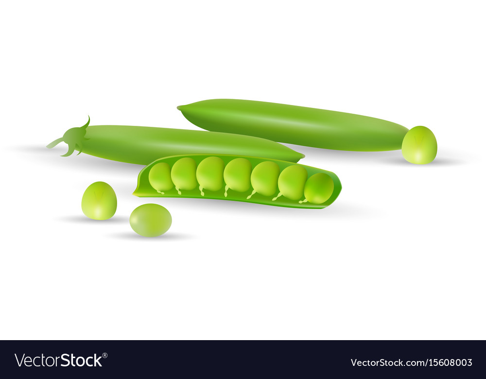 Pods of green peas isolated on a white background Vector Image