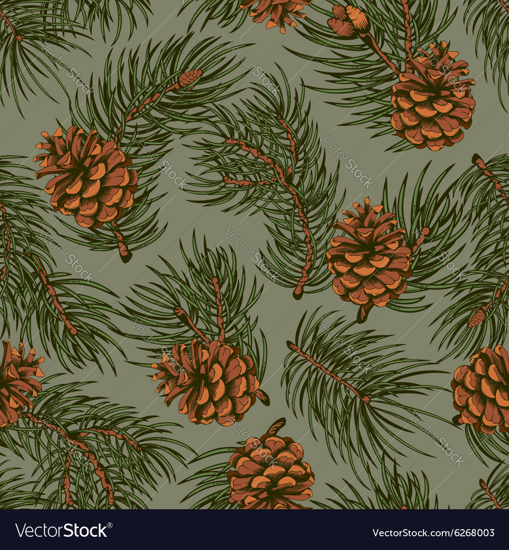 Spruce seamless pattern Royalty Free Vector Image