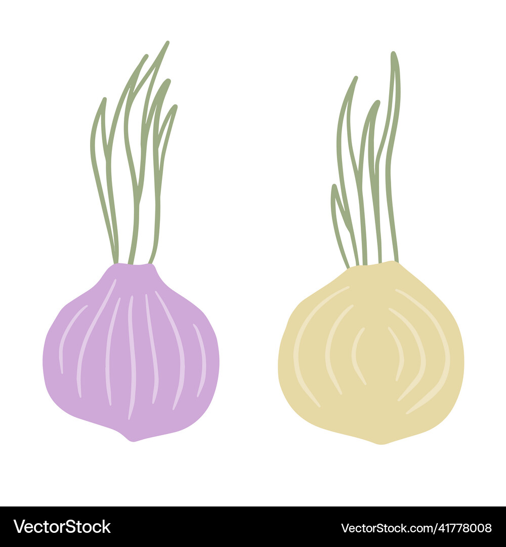 Onion in doodle style vegetable food Royalty Free Vector