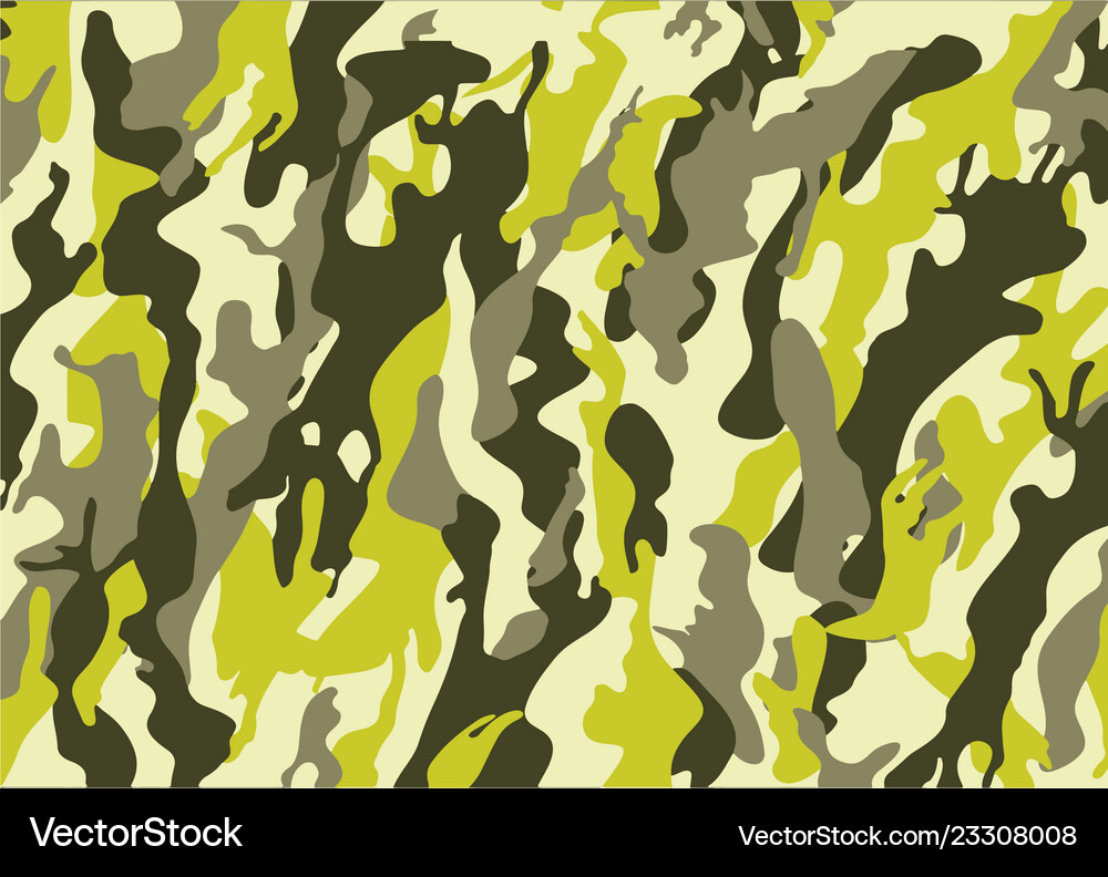Texture military camouflage army hunting Vector Image