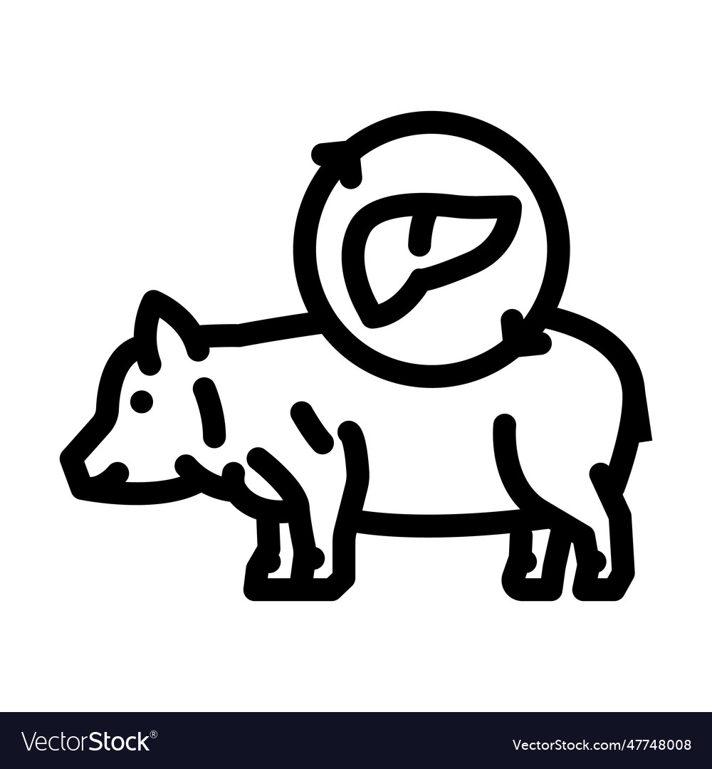 Xenotransplantation future technology line icon Vector Image