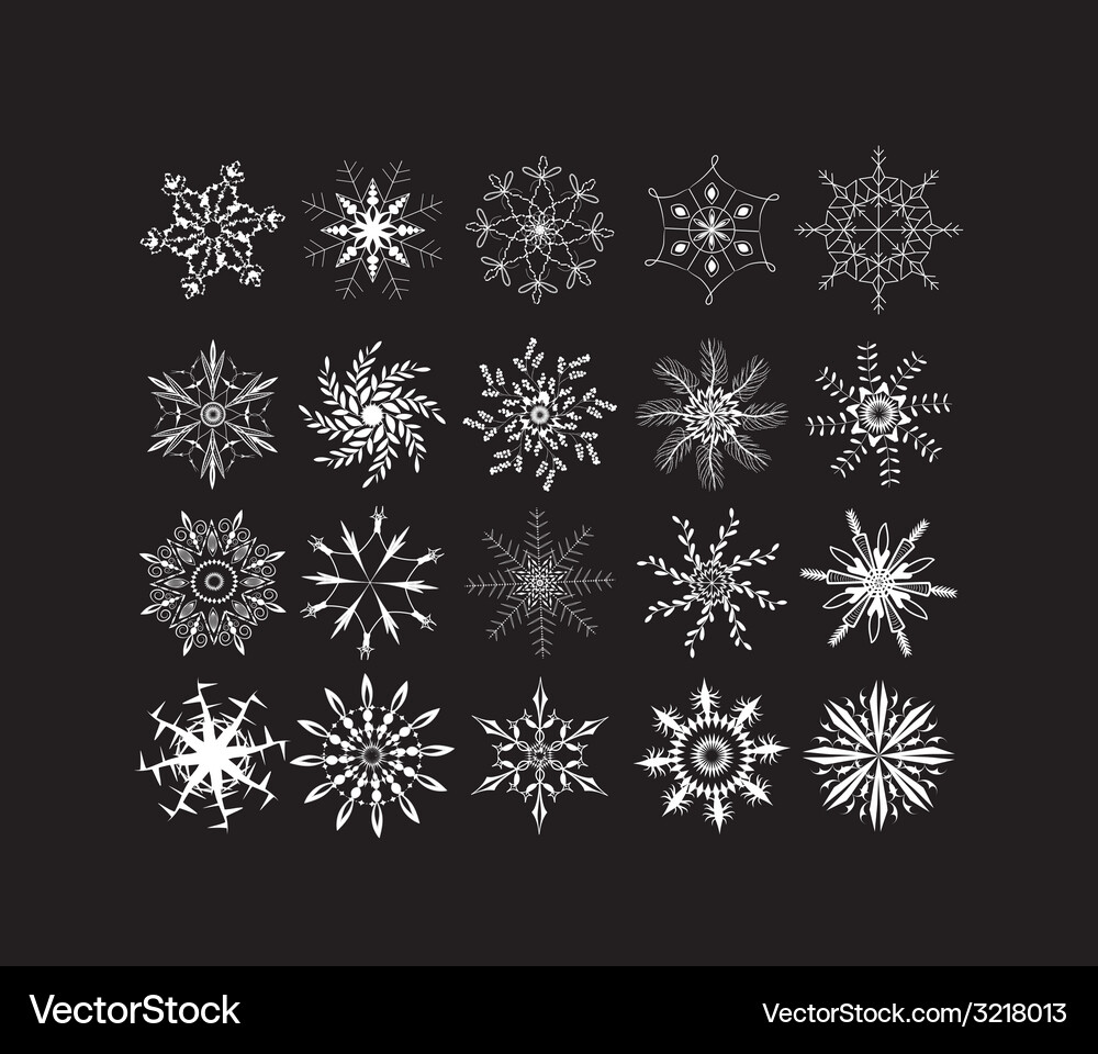 Beautiful snowflakes set for christmas winter Vector Image