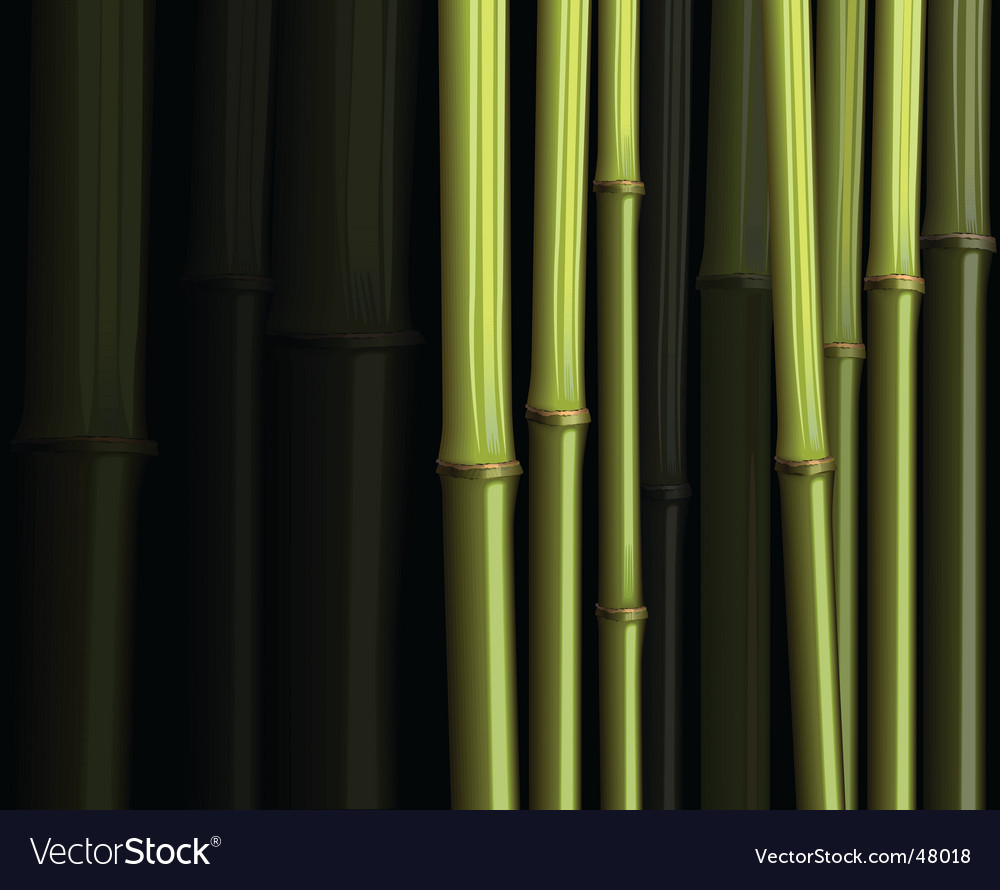Bamboo Royalty Free Vector Image - VectorStock