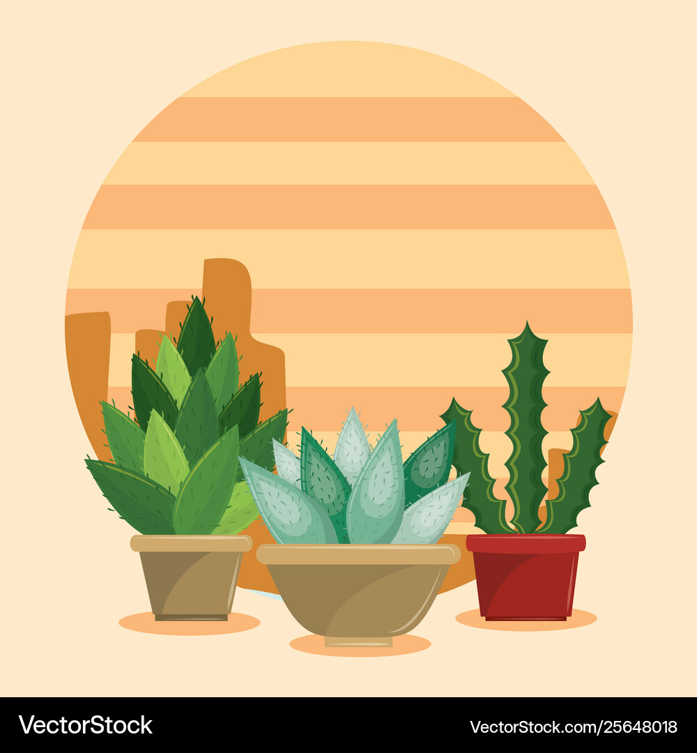 Cactus succulents in pot on desertscape Royalty Free Vector