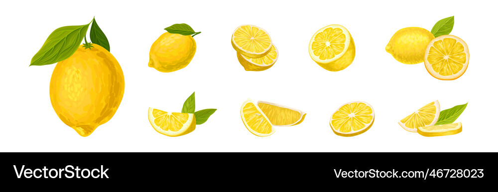 Lemon citrus fruit with green leaf set Royalty Free Vector