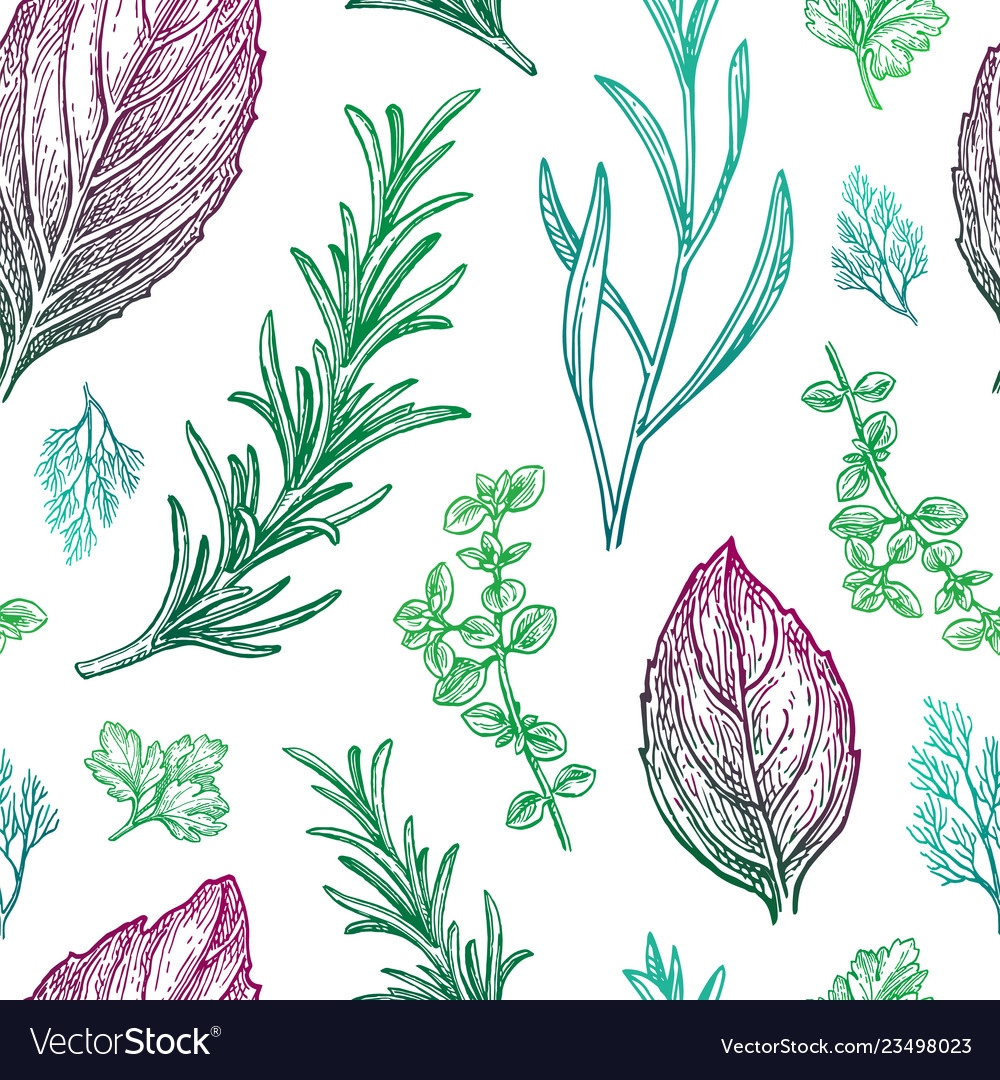 Seamless pattern with seasonings and herbs Vector Image