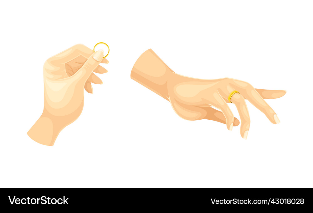 Hand with golden ring for engagement or wedding Vector Image