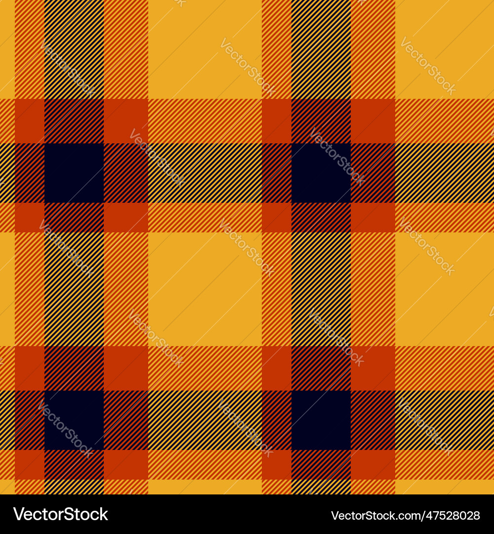 Tartan fabric of pattern check textile with a Vector Image
