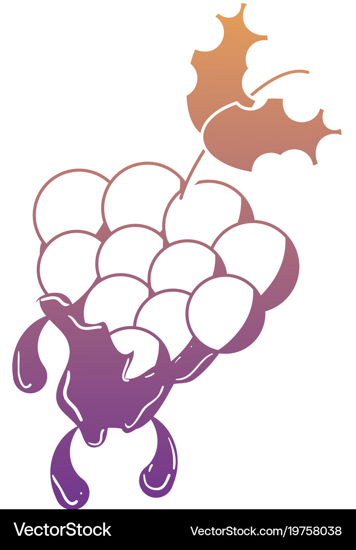Bunch of grapes icon Royalty Free Vector Image