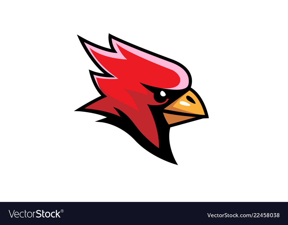 Cardinal bird logo Royalty Free Vector Image - VectorStock Cardinal bird logo Royalty Free Vector Image - VectorStock