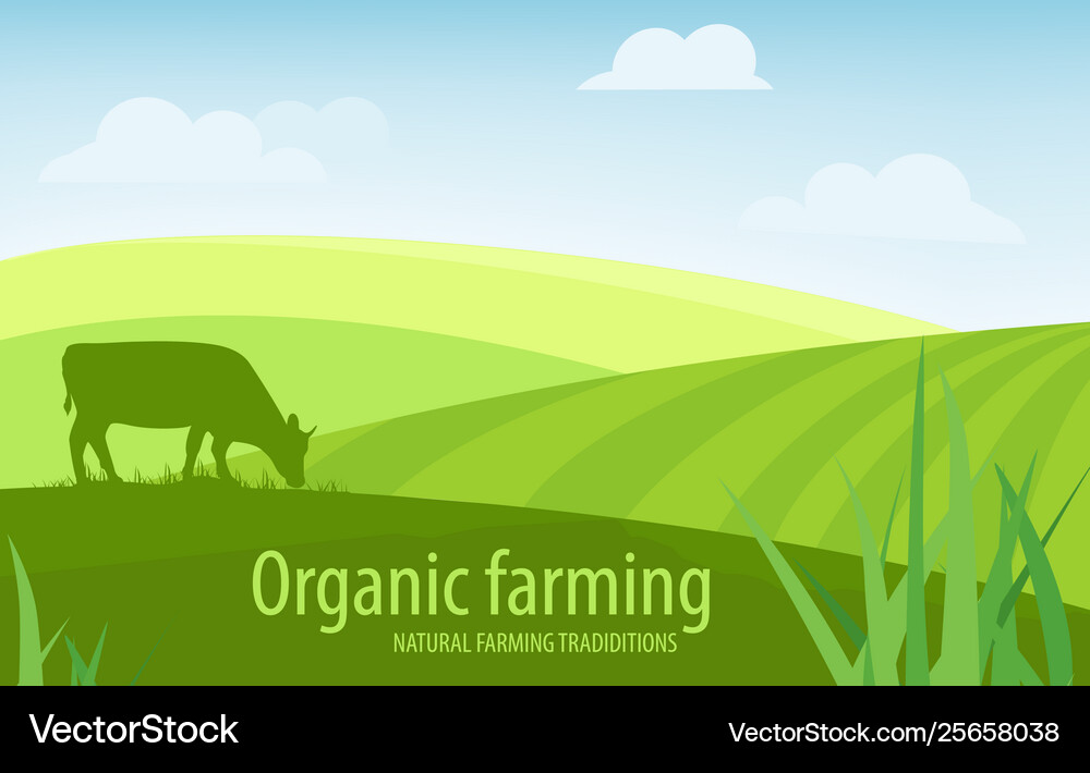 Rural landscape organic farming Royalty Free Vector Image