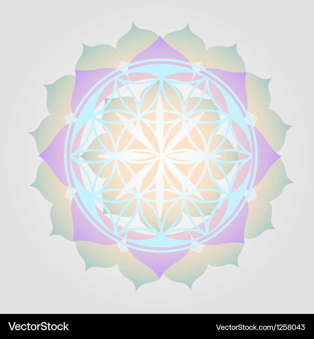 Flower of life design Royalty Free Vector Image
