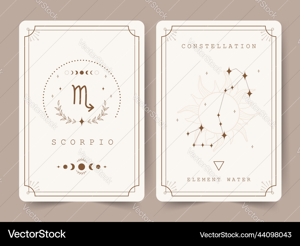 Scorpio Witchcraft Tarot Cards Royalty Free Vector Image