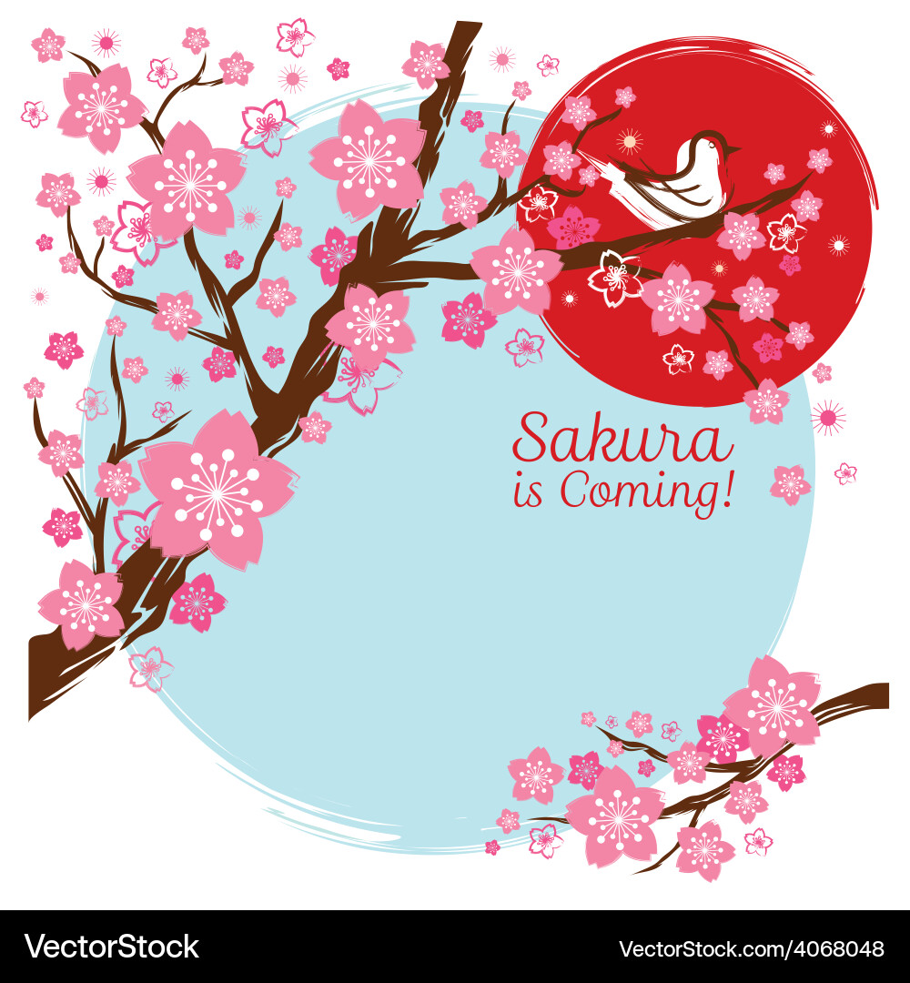 Cherry blossoms or sakura flowers with bird Vector Image