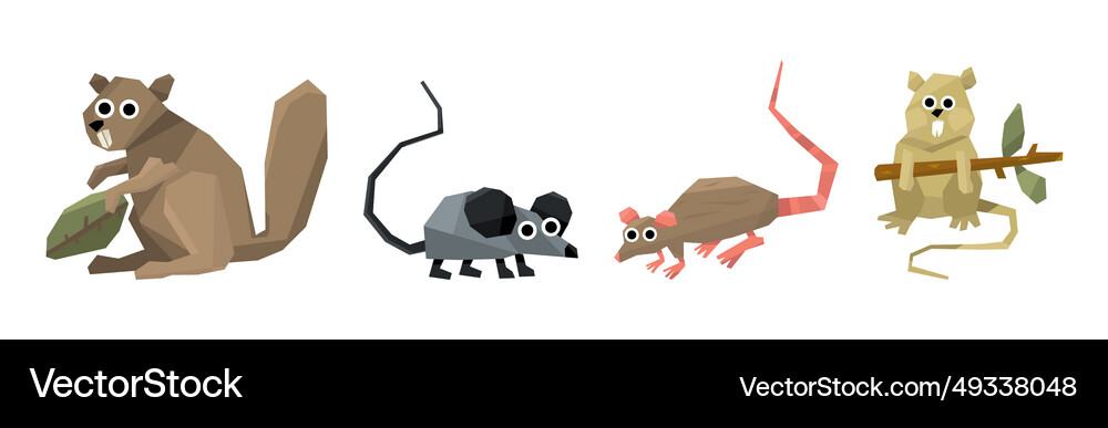 Funny rodent animal with tail and teeth set Vector Image