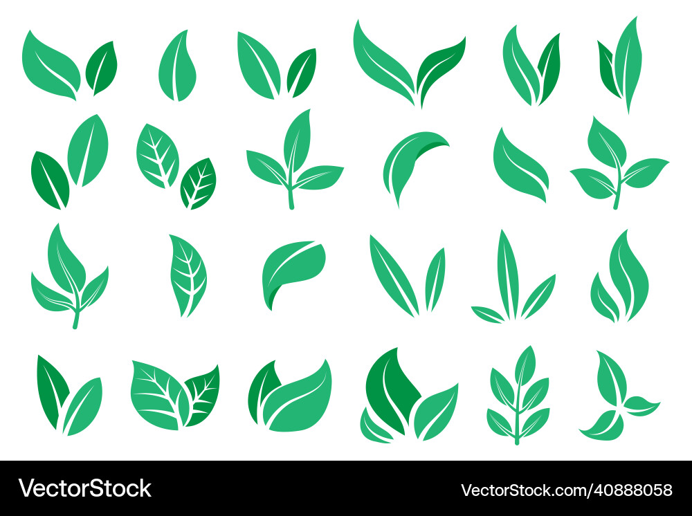 Green leaves cartoon tree mint and tea Royalty Free Vector