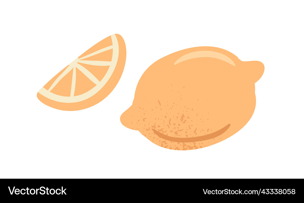 Lemon whole fresh citrus and fruit piece Vector Image