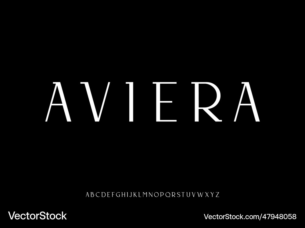 Modern chic alphabet display font feminine Vector Image