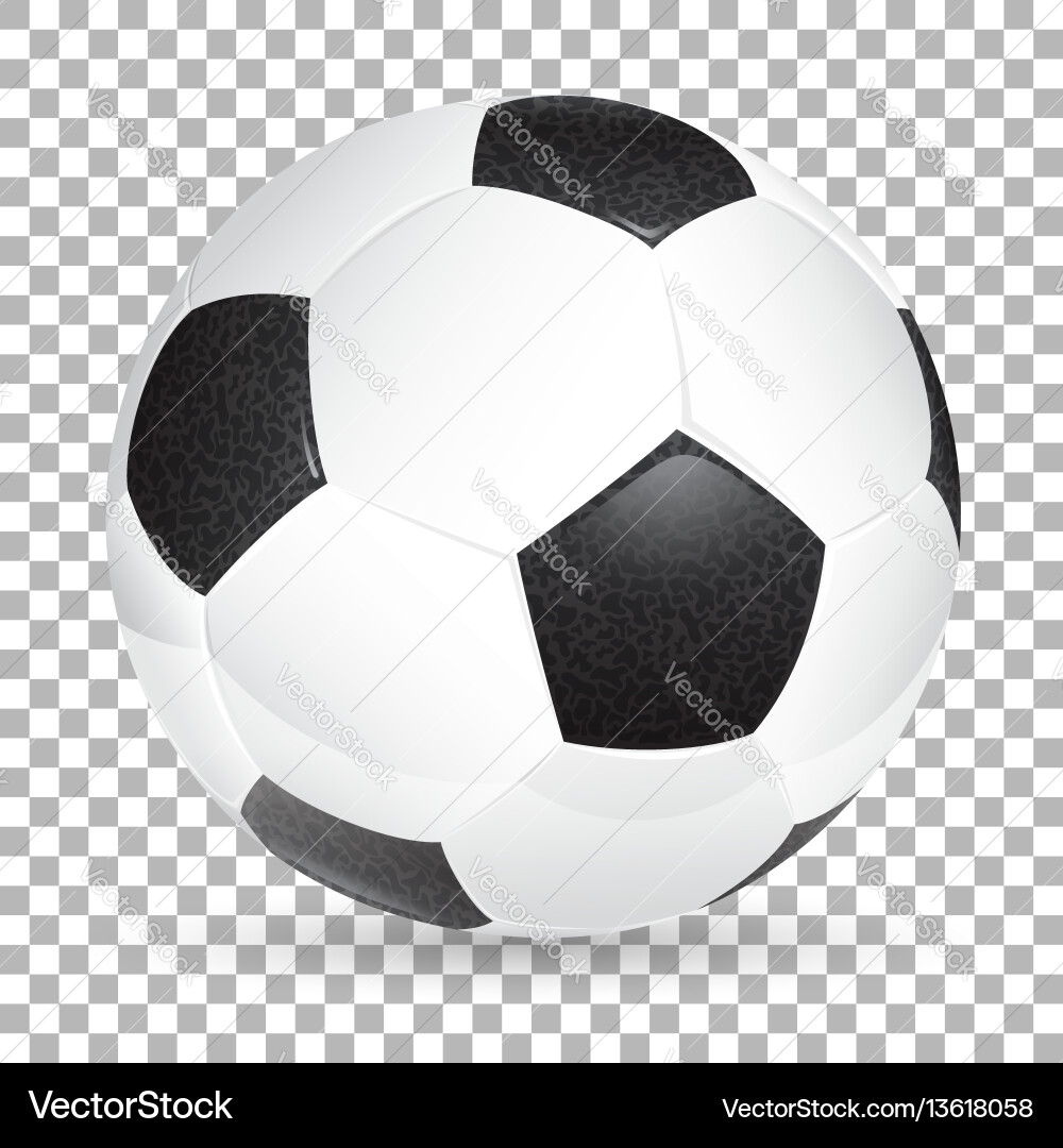 Realistic soccer ball Royalty Free Vector Image