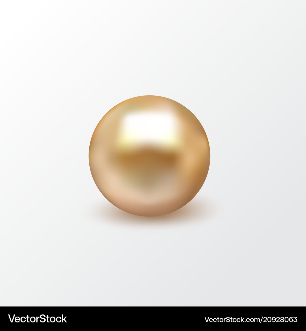 Beautiful shiny sea pearl Royalty Free Vector Image