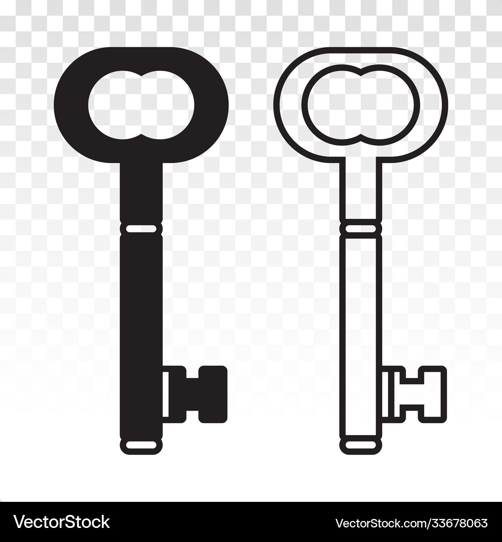 Vintage access key line art and key lock flat Vector Image
