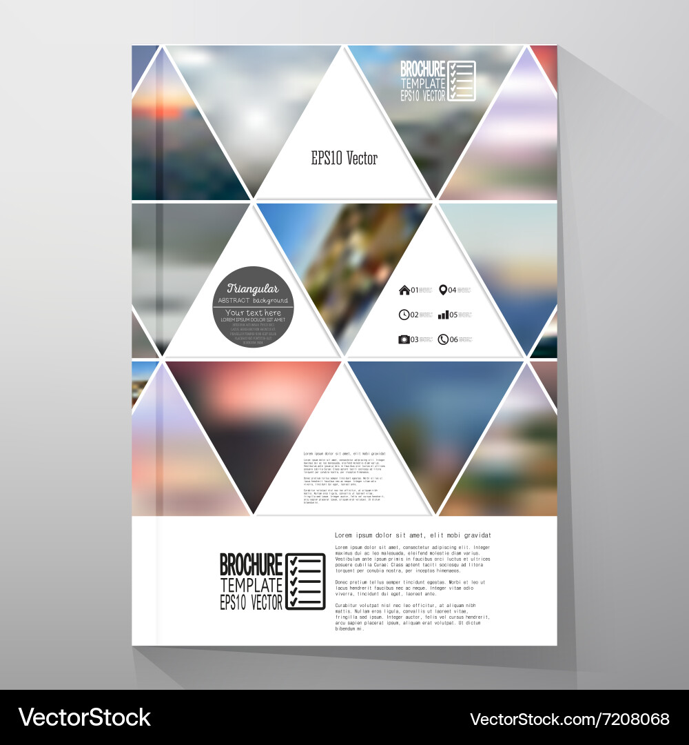Business template for brochure flyer or booklet Vector Image